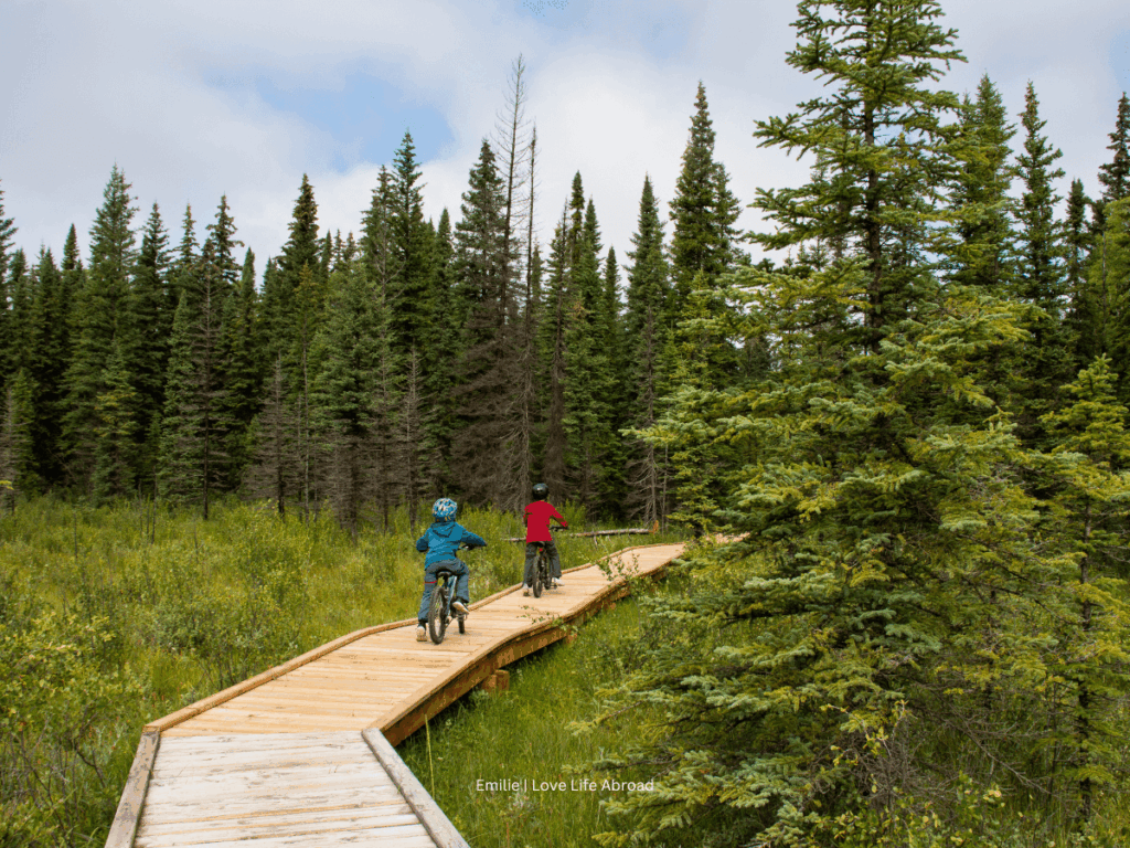 8+ Kid-Approved Things to Do in Hinton, Alberta (No Crowds)