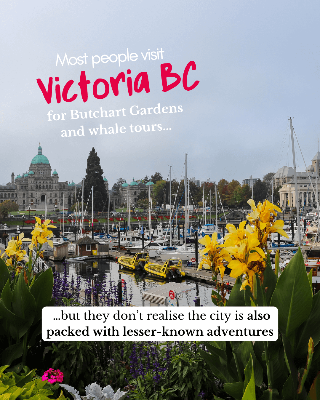 12 Things to Do in Victoria BC You’ll Regret Skipping