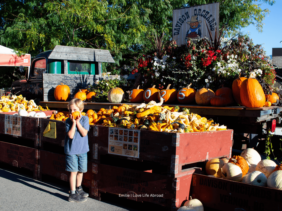13+ Things to Do in the Okanagan Valley (More than Wineries)